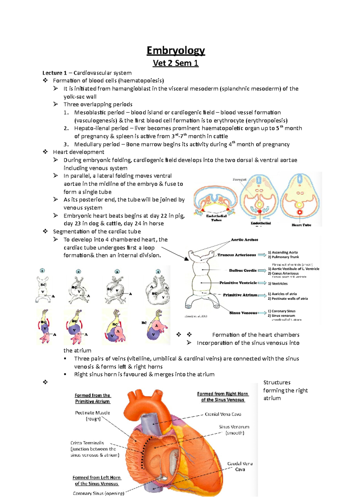 Embryology - notes - Dr Orochun Hayakijkusol- TV2001 2021 - Embryology ...
