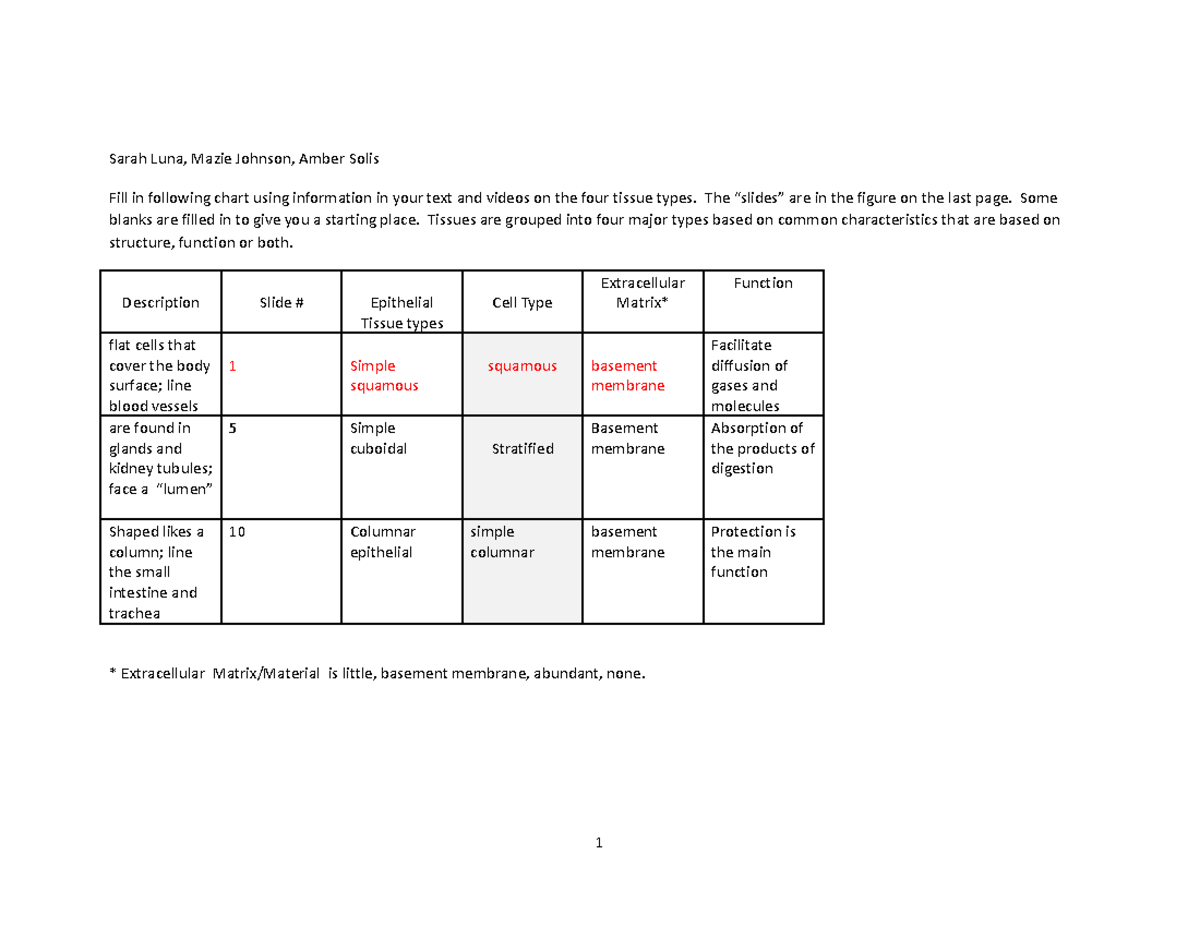 Tissue+Activity+worksheet - Sarah Luna, Mazie Johnson, Amber Solis Fill ...