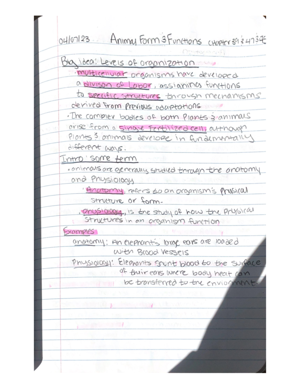 Anmal Form And Function - BIOL 206 - Studocu