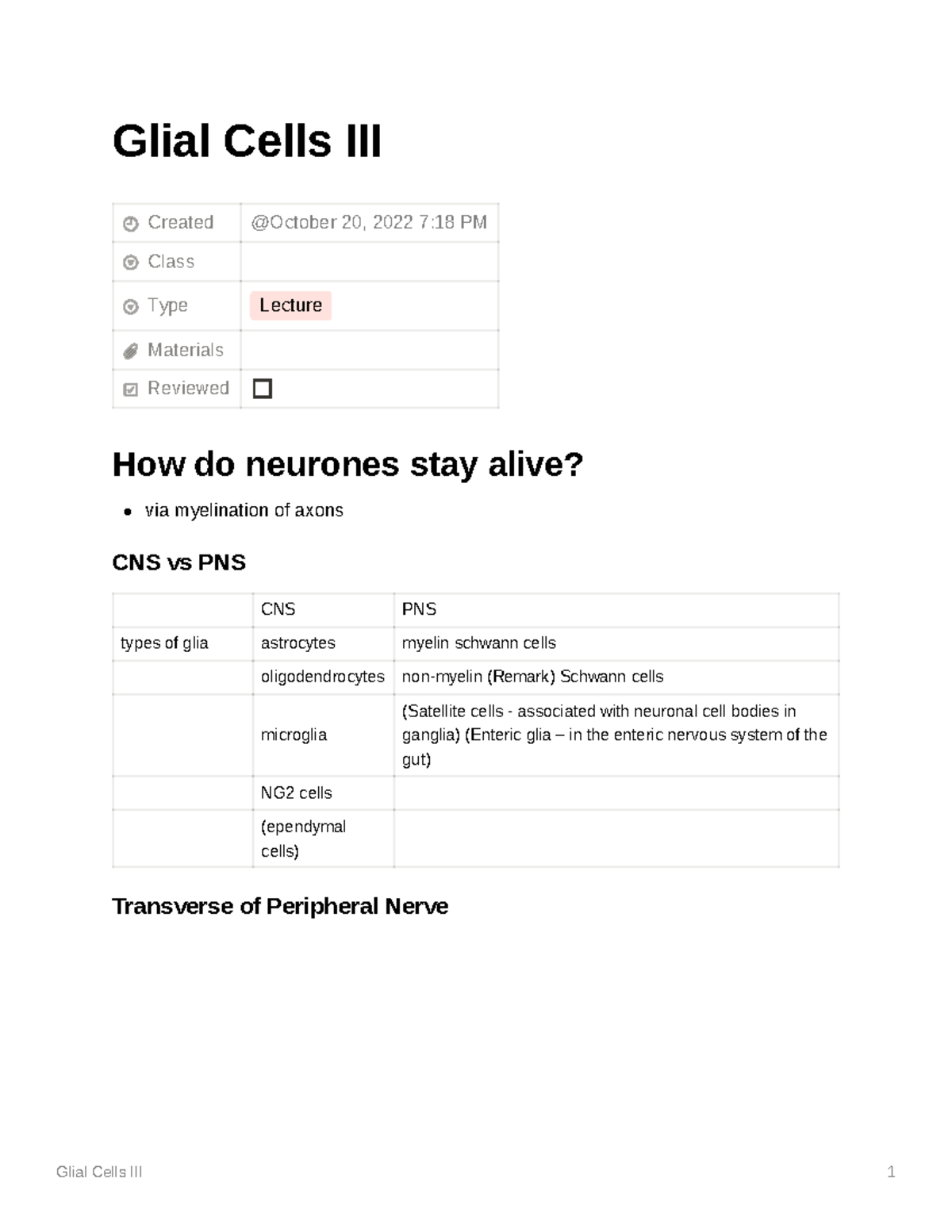 Glial Cells III - Notes - Glial Cells Created 20, 2022 7:18 PM Class ...
