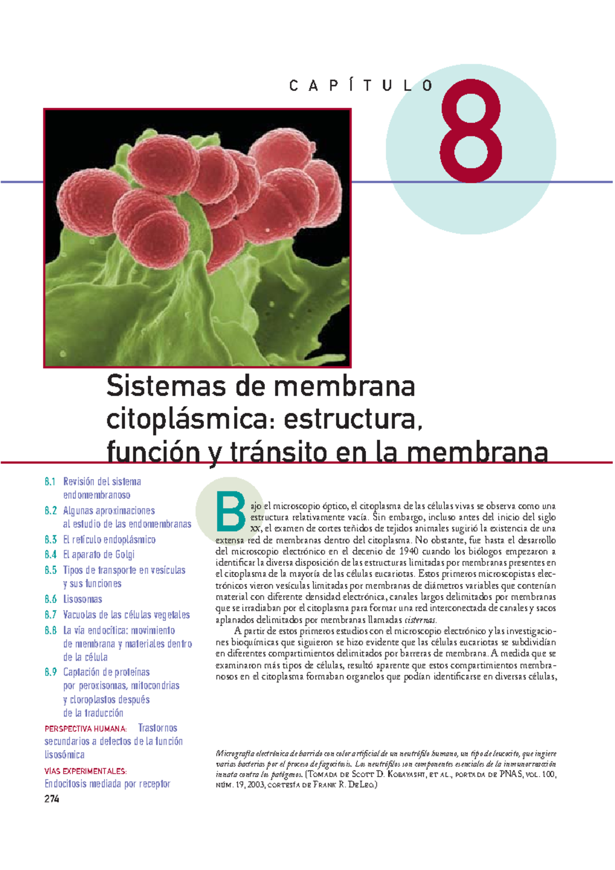 Karp. G. Capítulo 8 pdf - Resumen Karp's Cell and Molecular Biology ...