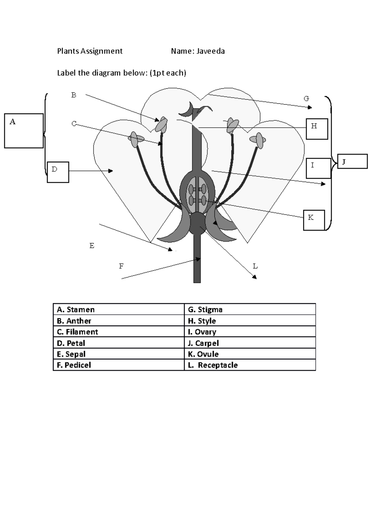 Plants HW - C B E F L G Plants Assignment Name: Javeeda Label the diagram below: (1pt each) A ...