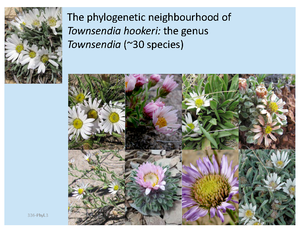 BIOL 336 Set up - knowledge translation - BIOL 336 Title: Authors ...