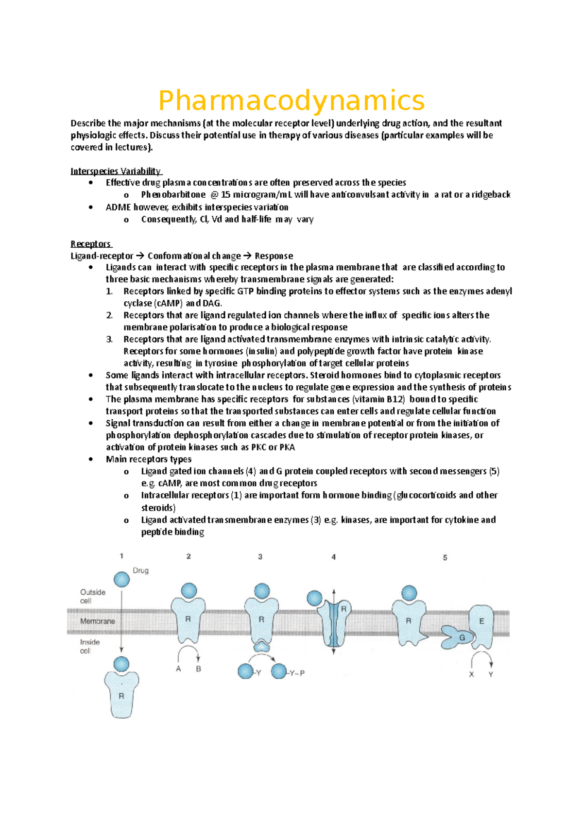Pharmacology Notes - Pharmacodynamics Describe the major mechanisms (at ...