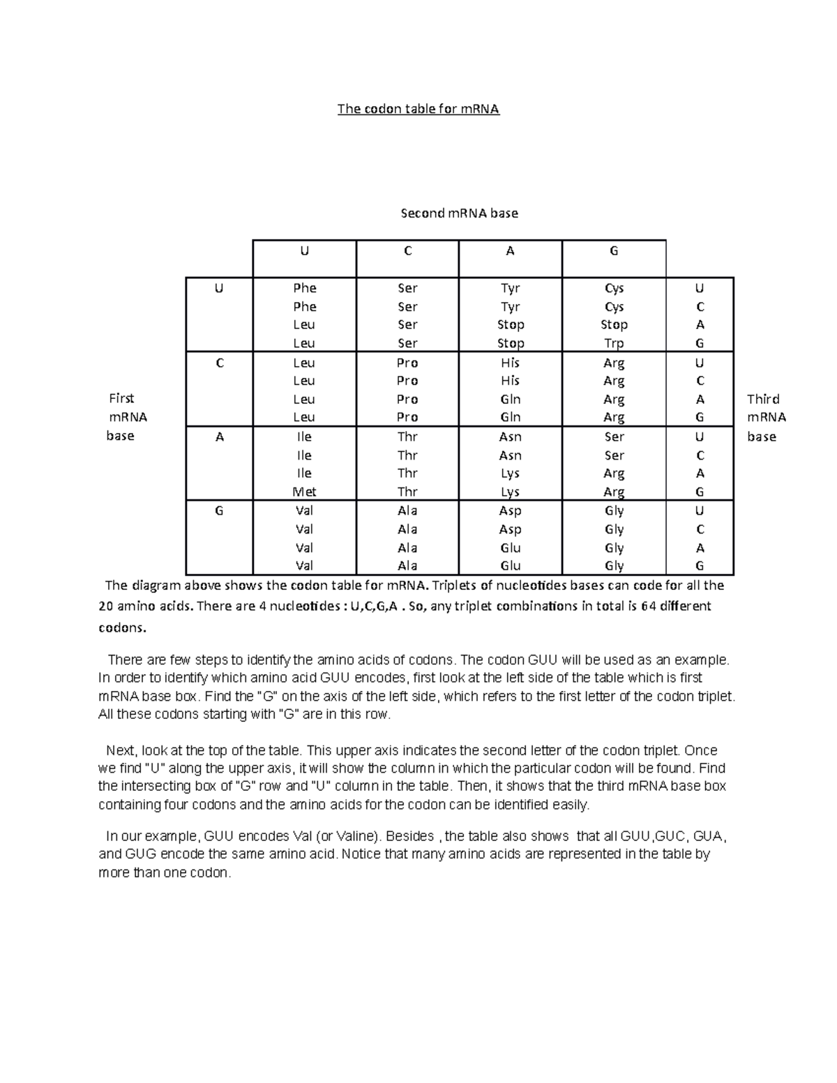 Exp bio 1 - exp 1 - The codon table for mRNA Second mRNA base U C A G ...