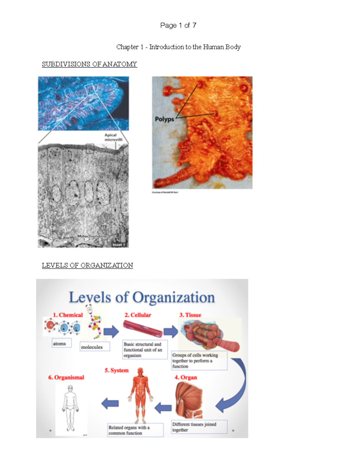 Chapter 1 Intro Labels - Page 1 of 7 Chapter 1 Introduction to the ...