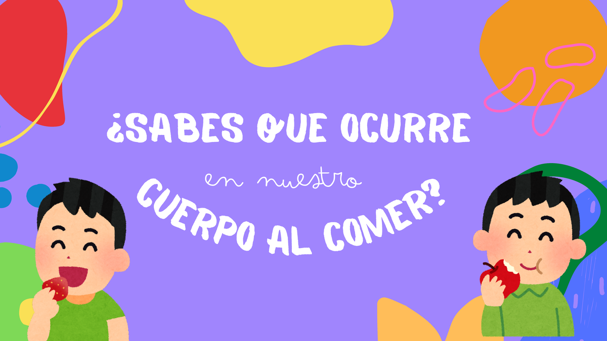 ¿Conoces qué pasa en nuestro cuerpo cuando comemos - ¿sabes que ocurre ...