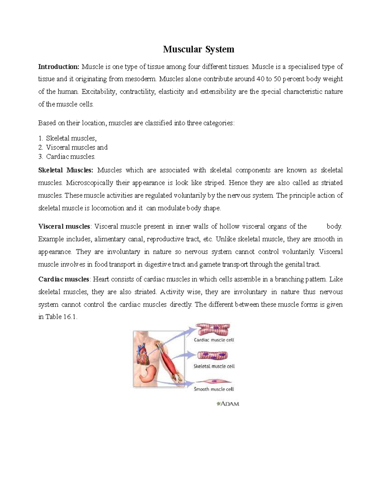 Muscular System - About Musce - Muscular System Introduction: Muscle is ...