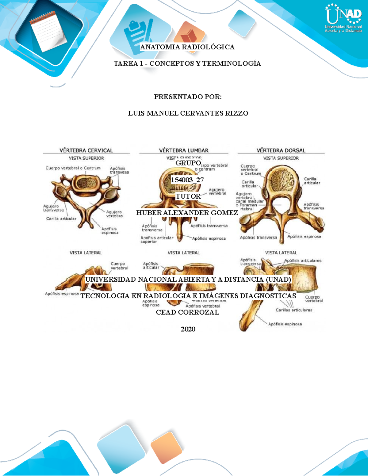 Anatomía Radiológica #1 - ANATOMIA RADIOLÓGICA TAREA 1 - CONCEPTOS Y ...