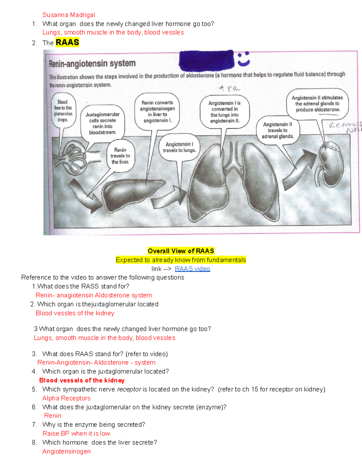 Copy of RAAS - RAAS - Susanna Madrigal What organ does the newly ...