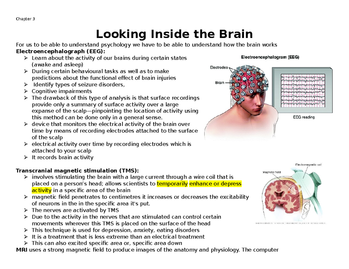 Chapter 3 - notes - Looking Inside the Brain For us to be able to ...