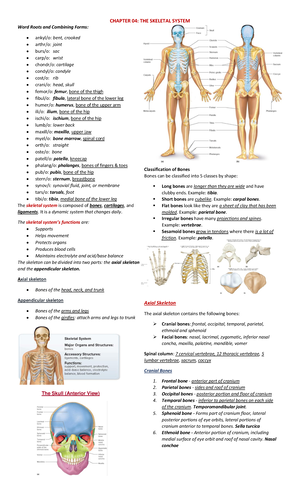 Chapter 02, Levels of Organization of the Human Body - Our bodies are ...
