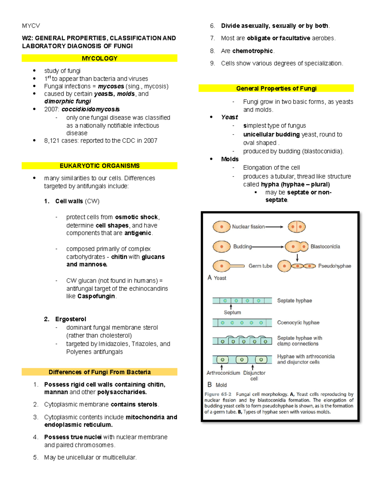 W2 - General Properties, Classification AND Laboratory Diagnosis OF ...