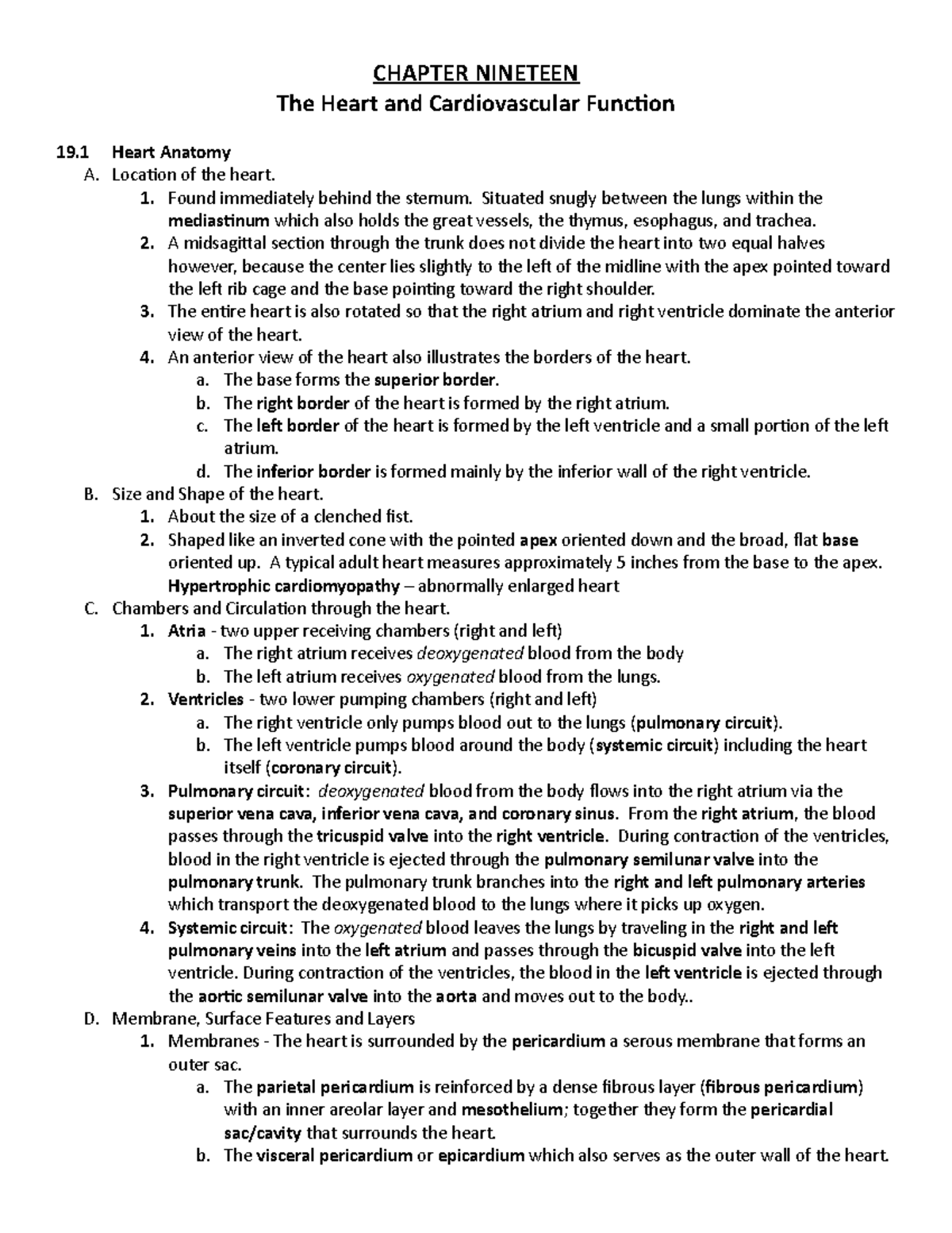 Chapter 20: blood the Cardiovascular System - CHAPTER NINETEEN The ...