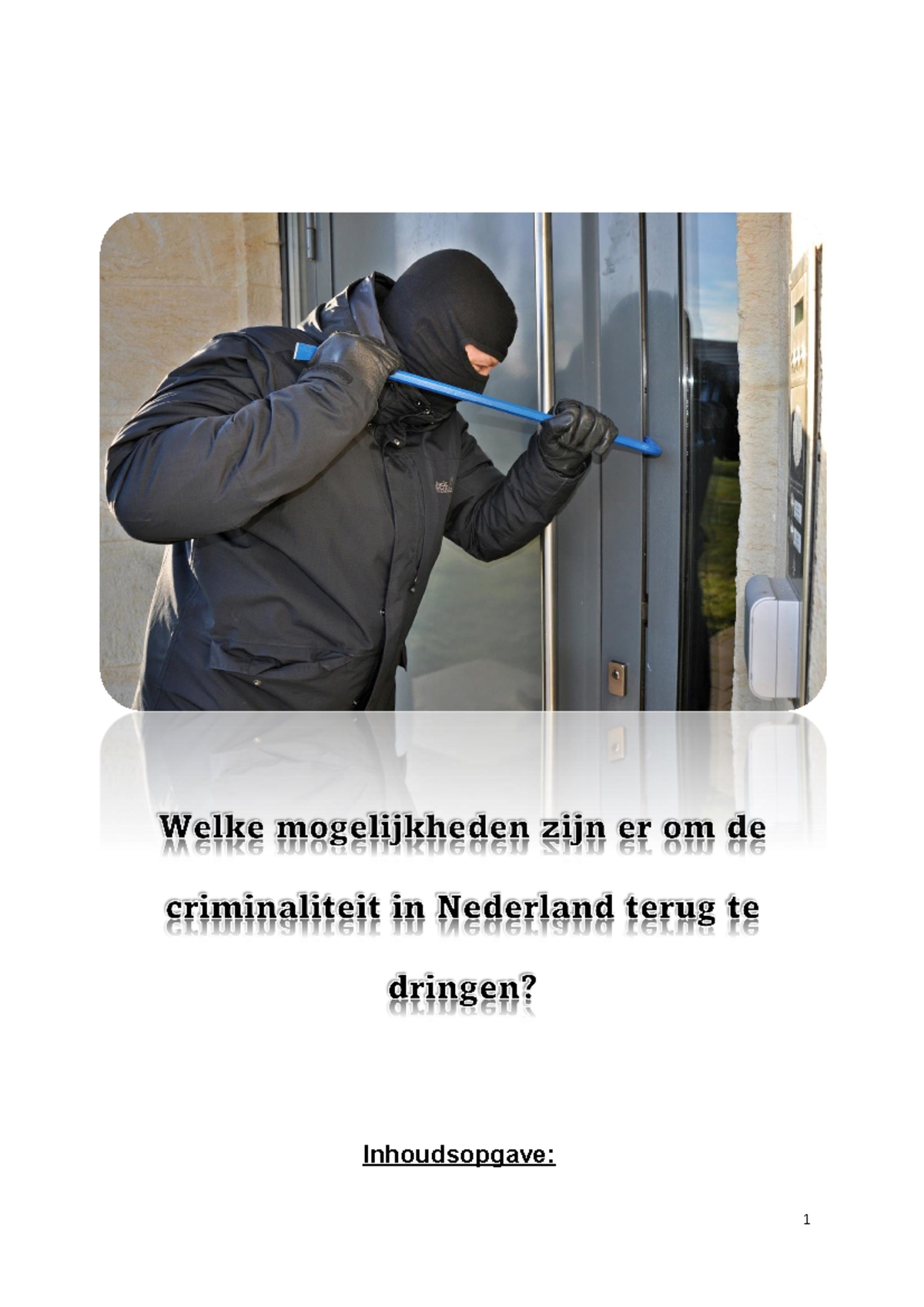 PWS HAVO 5 (af)xxx - Pws - Inhoudsopgave: Inleiding (Blz 3) In welke ...