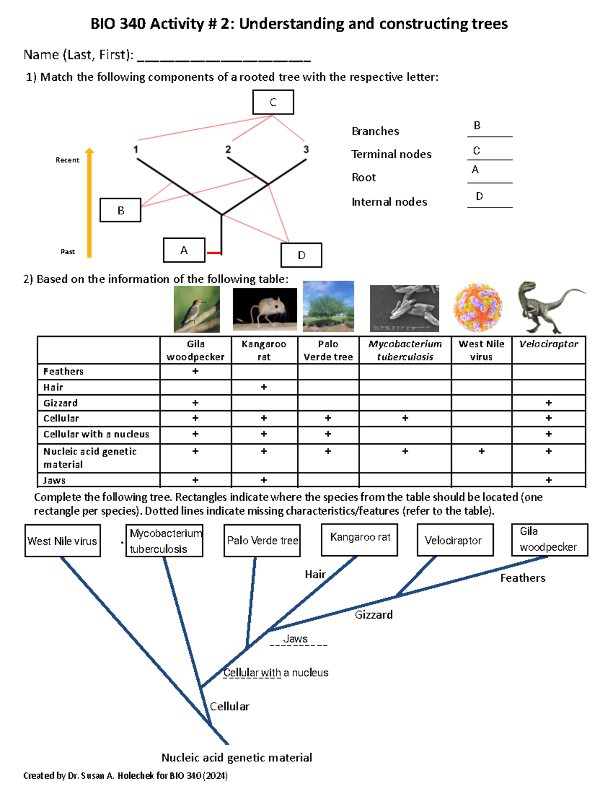 Kami Export - BIO 340 Activity #2 FALL C 2024 - BIO 340 Activity # 2: Understanding and ...