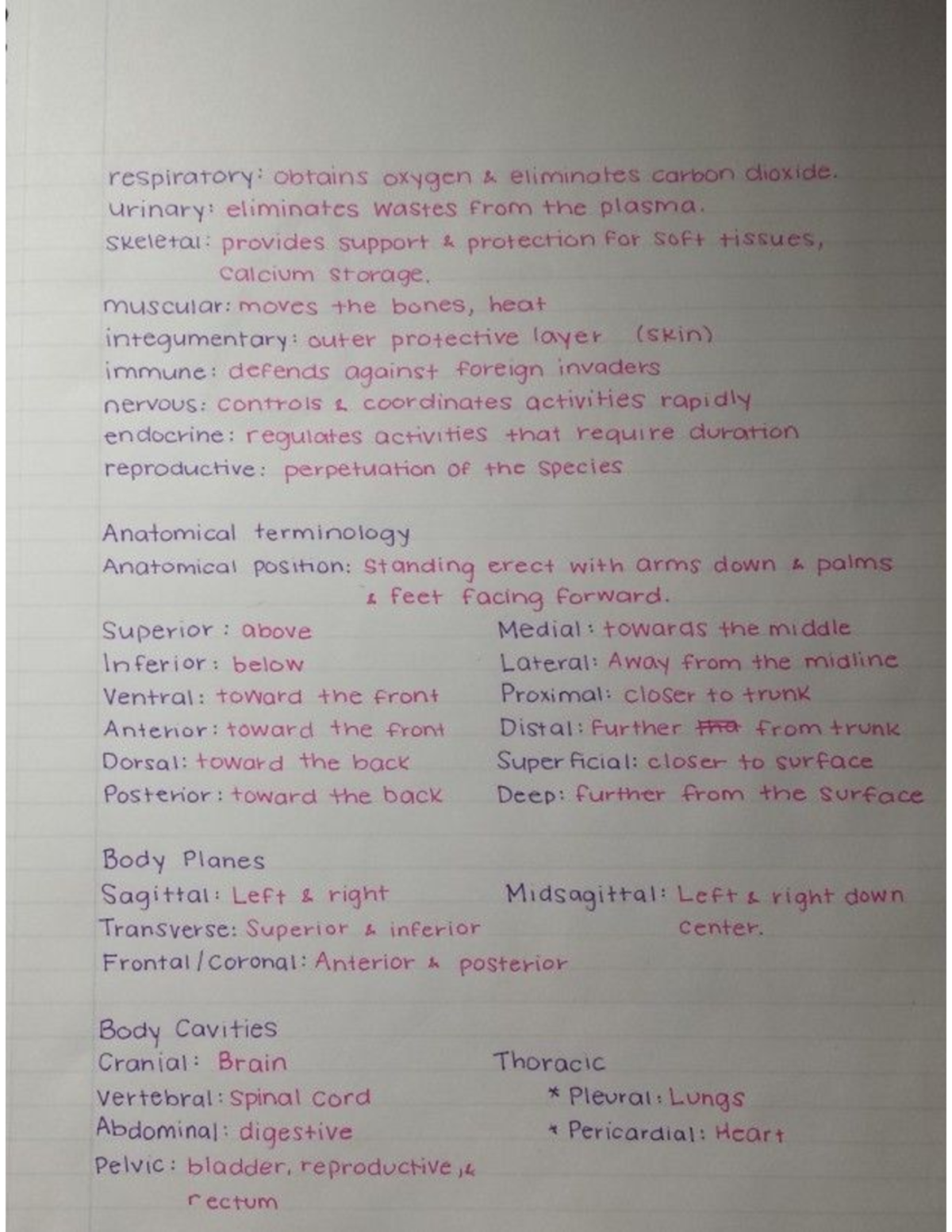 Anatomy Vocabulary - BC2574 - Studocu