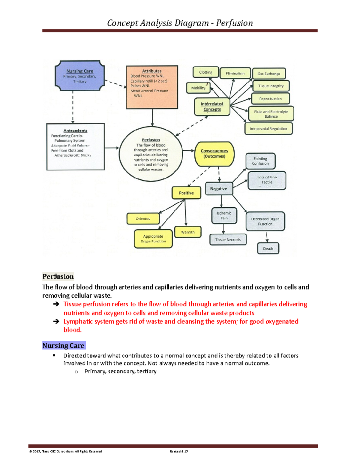 Perfusion rev 6.15 Accessible - Perfusion The flow of blood through ...