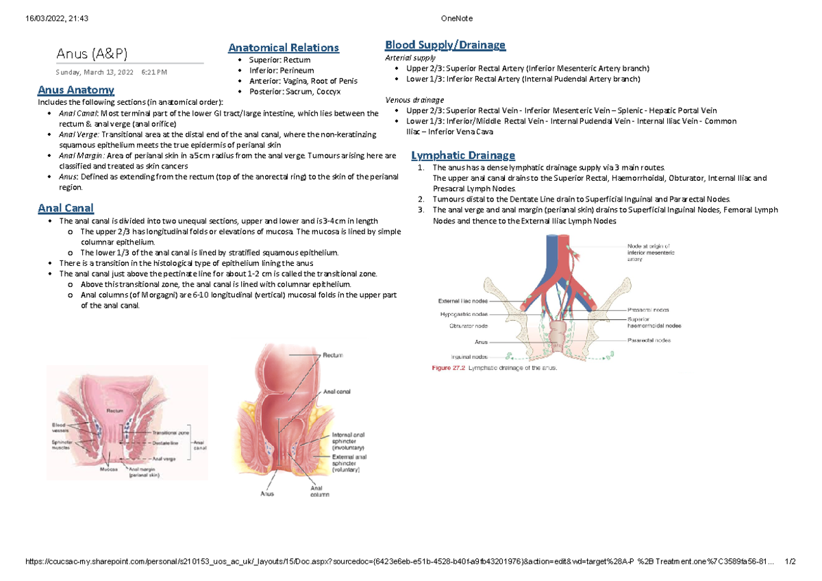 Anus A&P Summary - 16/03/2022, 21:43 OneNote - Studocu