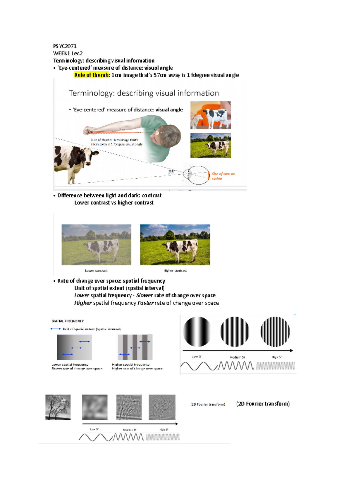 PSYC2071 Week1 Lec2 - PSYC WEEK1 Lec Terminology: describing visual information ‘Eye-centered ...