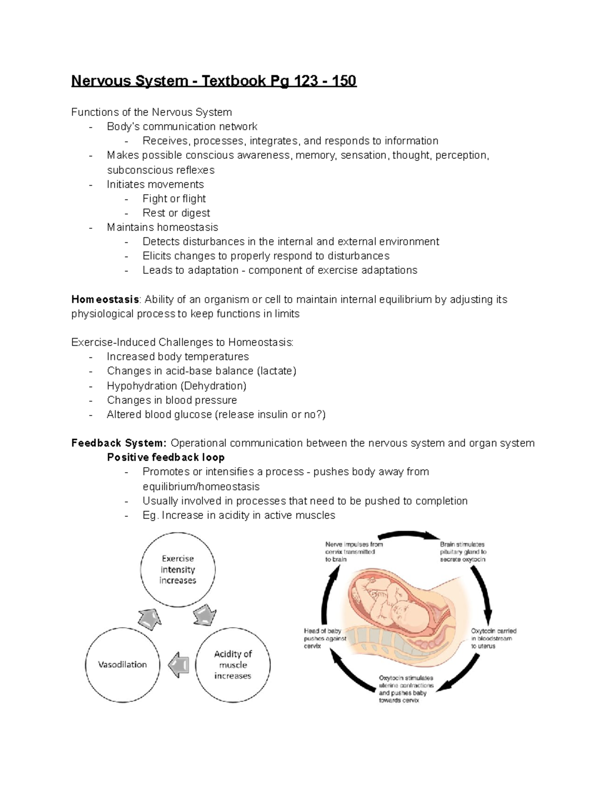 KIN163 - Nervous System - Nervous System - Textbook Pg 123 - 150 ...