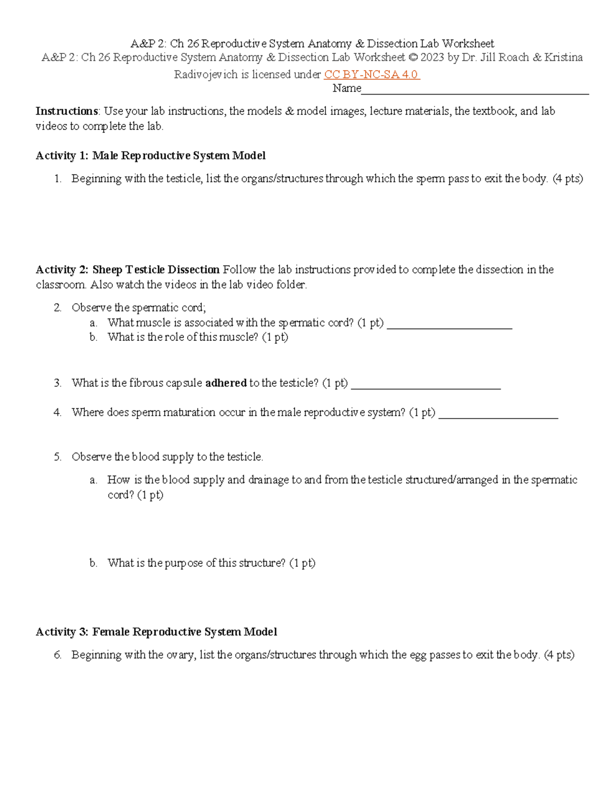 A&P2 Ch 26 Reproductive System Dissection Lab - A&P 2: Ch 26 ...