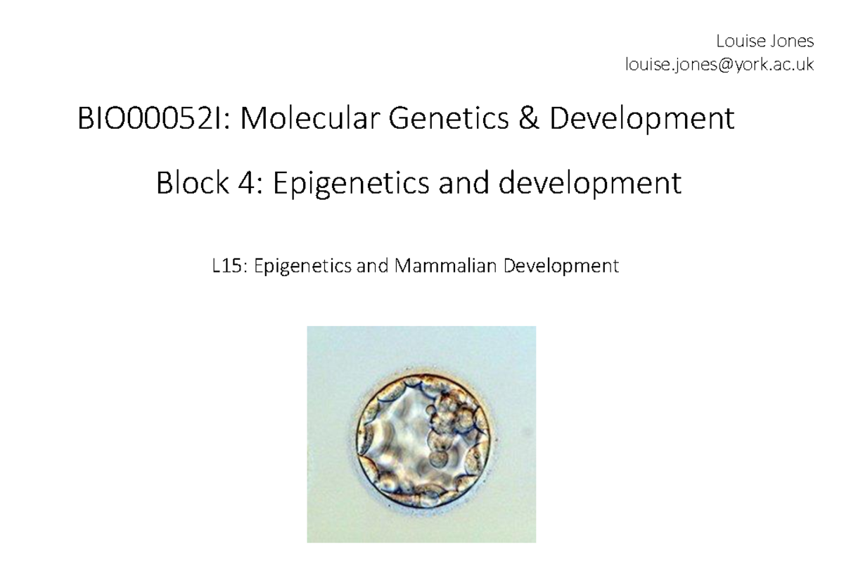 Molecular Genetics and Development Lecture 15 - BIO00052I: Molecular ...