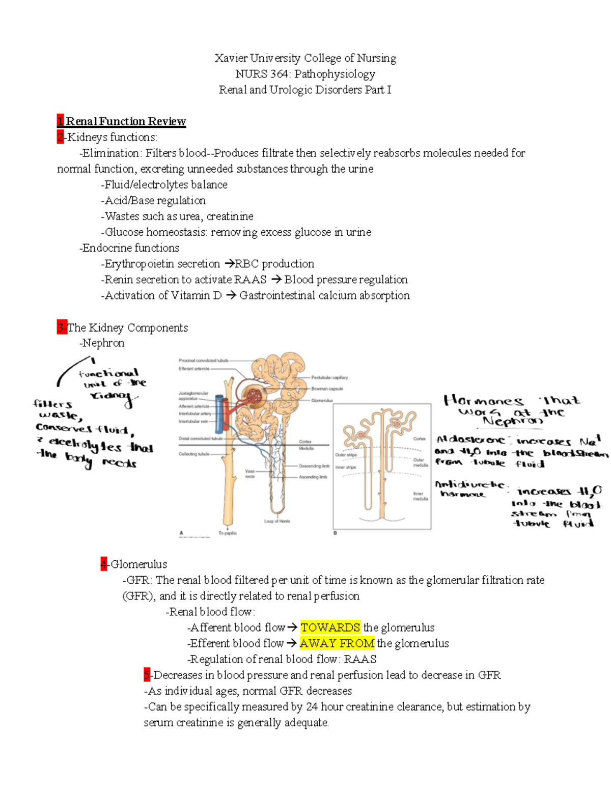 Renal+and+Urologic+Disorders+notes+I+ Answers - Xavier University ...