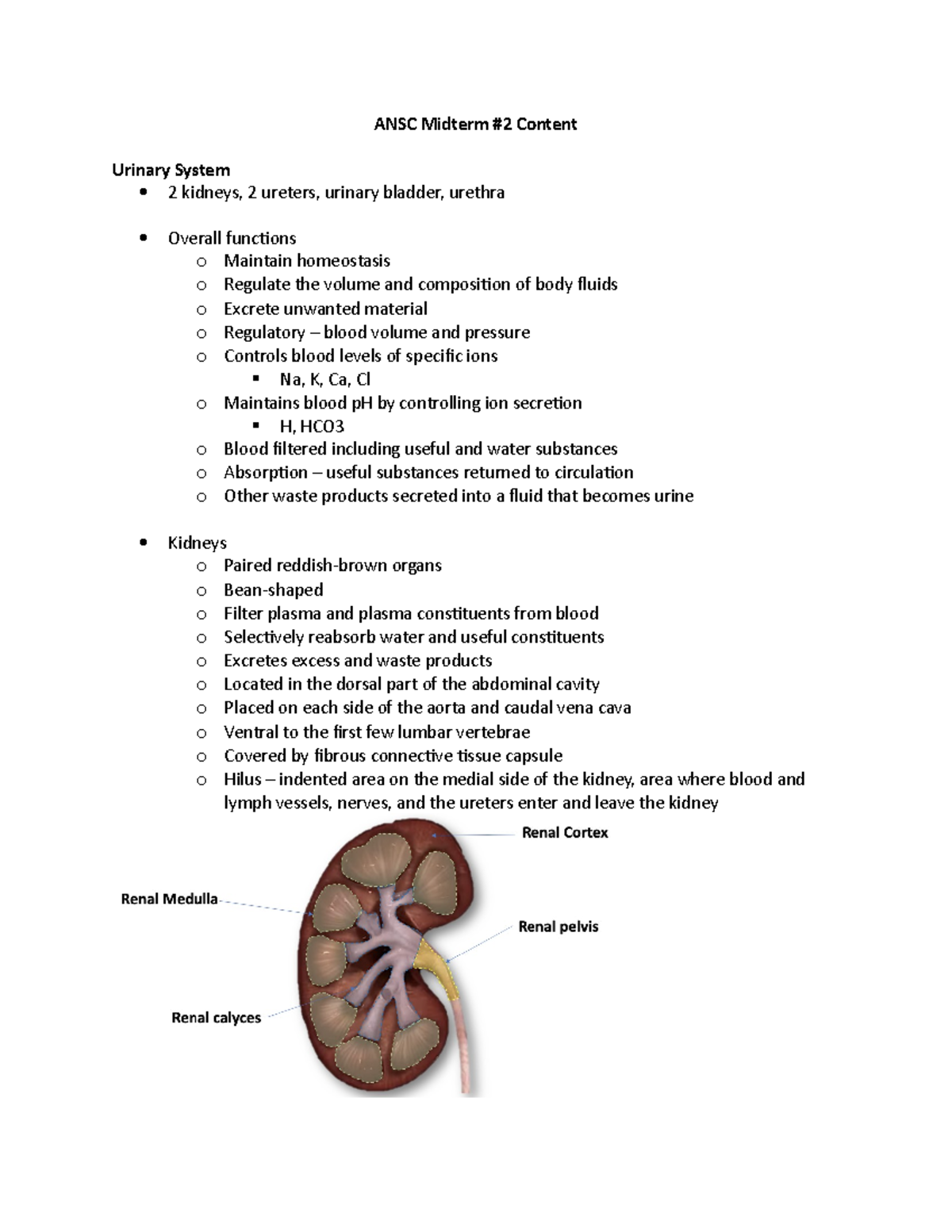 ANSC Midterm #2 - notes - ANSC Midterm #2 Content Urinary System 2 ...