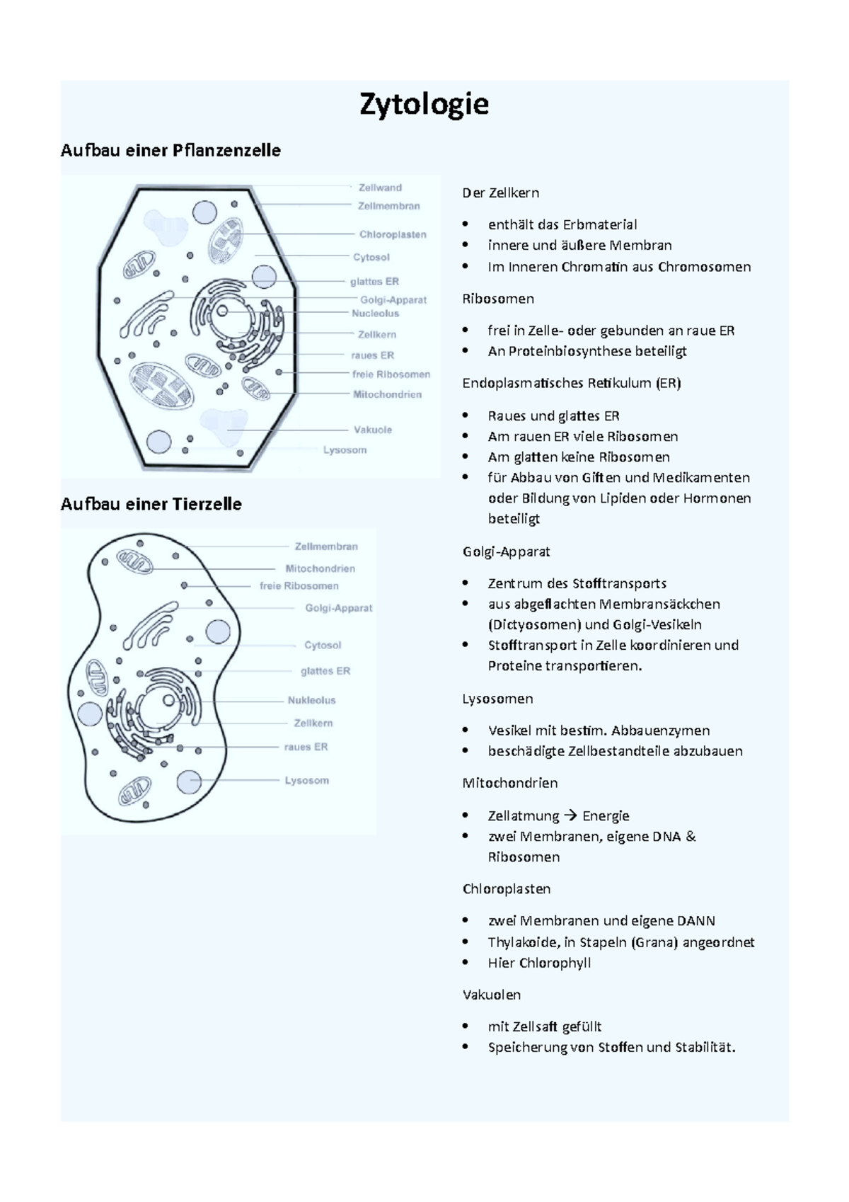 Zytologie - IDK - Biotransformation & Biokatalyse - MV-BioVT-86437-V-4 ...
