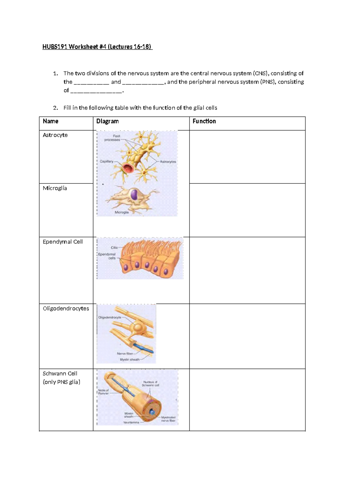 Worksheet-Week #6 - HUBS191 Worksheet #4 (Lectures 16-18) 1. The two ...