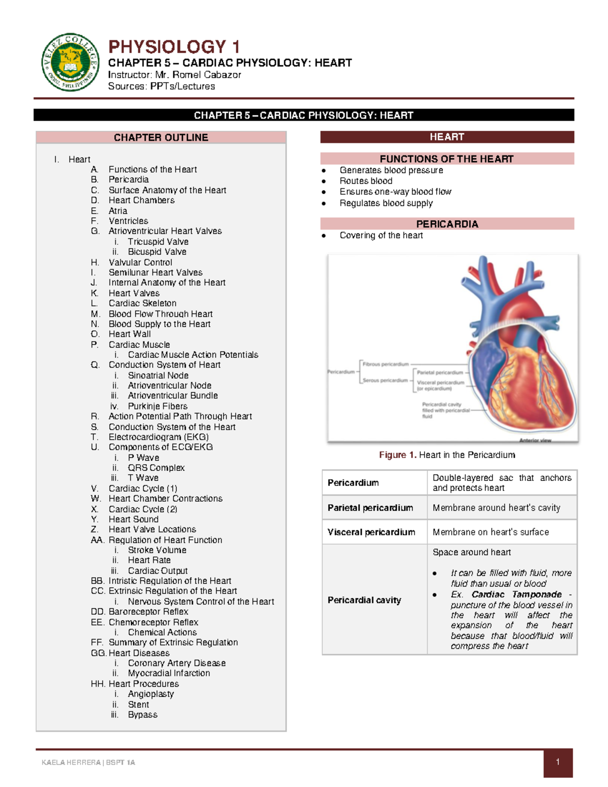 %5 Bphysio%201%5D%205%20Heart - PHYSIOLOGY 1 CHAPTER 5 – CARDIAC ...