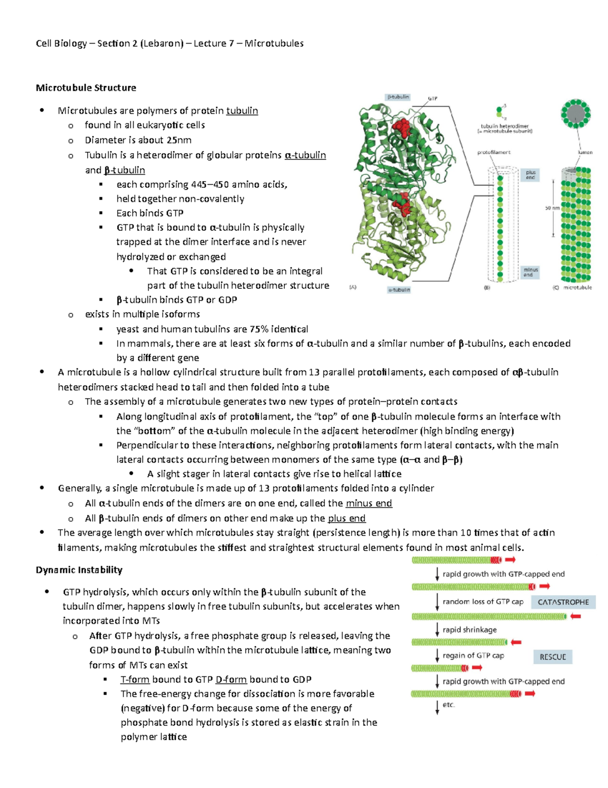 Cell Bio Lecture 7 Notes Ch - Cell Biology – Section 2 (Lebaron ...