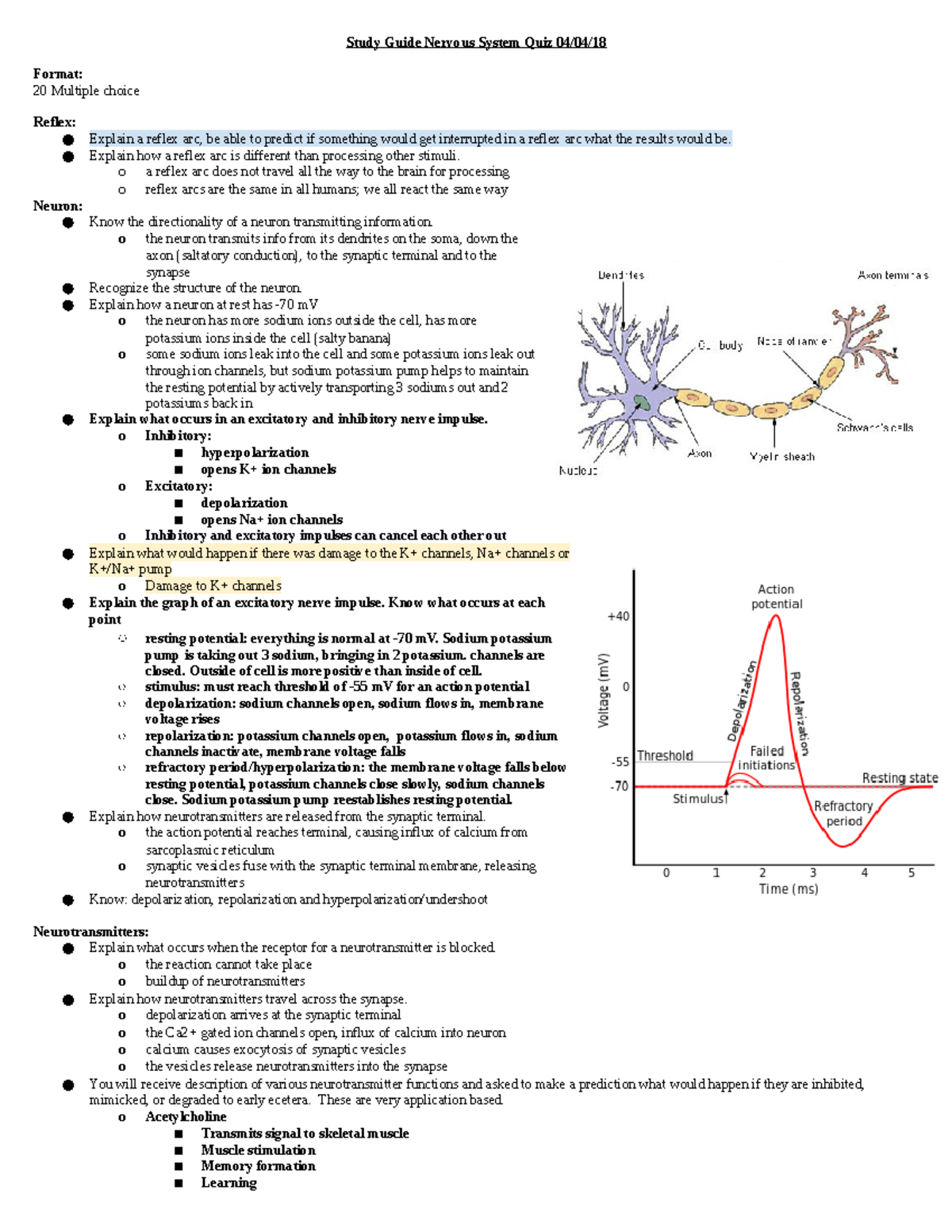Nervous System AP Biology Study Guide - Study Guide Nervous System Quiz ...