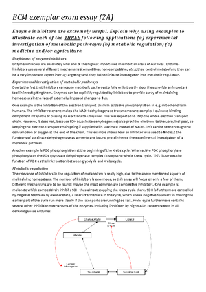 Mirror milk workshop Worksheet + answers - BCM – Problem class Problem ...