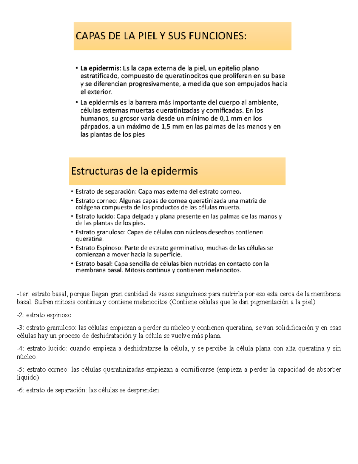 Clase N°3 - SADASDAS -1er: estrato basal, porque llegan gran cantidad ...