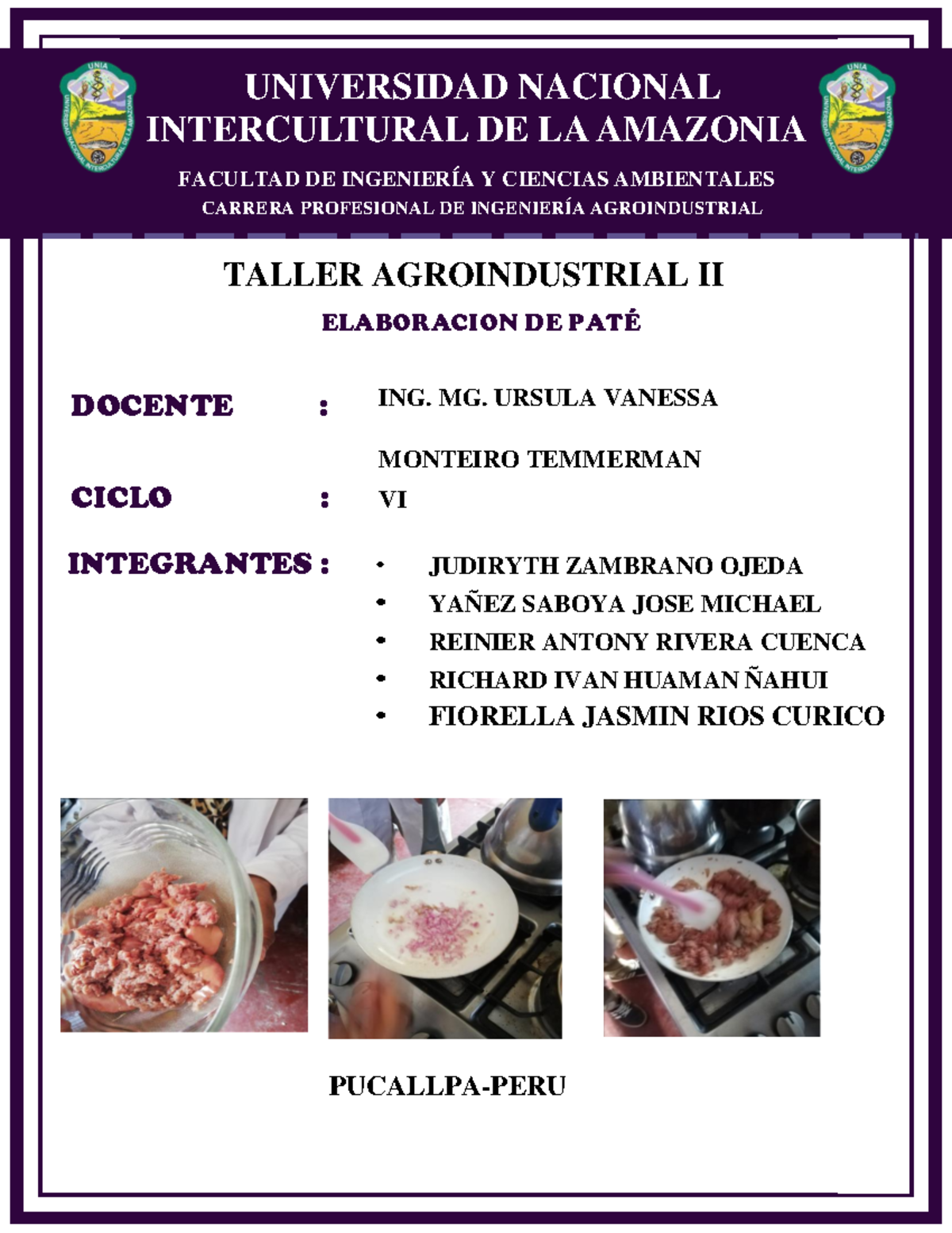 Pate - elaboracion del pate - I A UNIVERSIDAD NACIONAL INTERCULTURAL DE ...