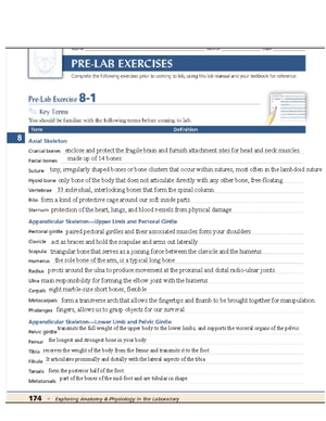 Unit 7: Introduction to the Skeletal System. Lab 7 - Exercise 7 ...