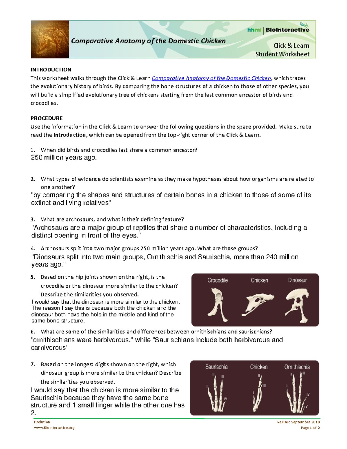 Science 8th grade bones - Evolution Revised September 2019 ...