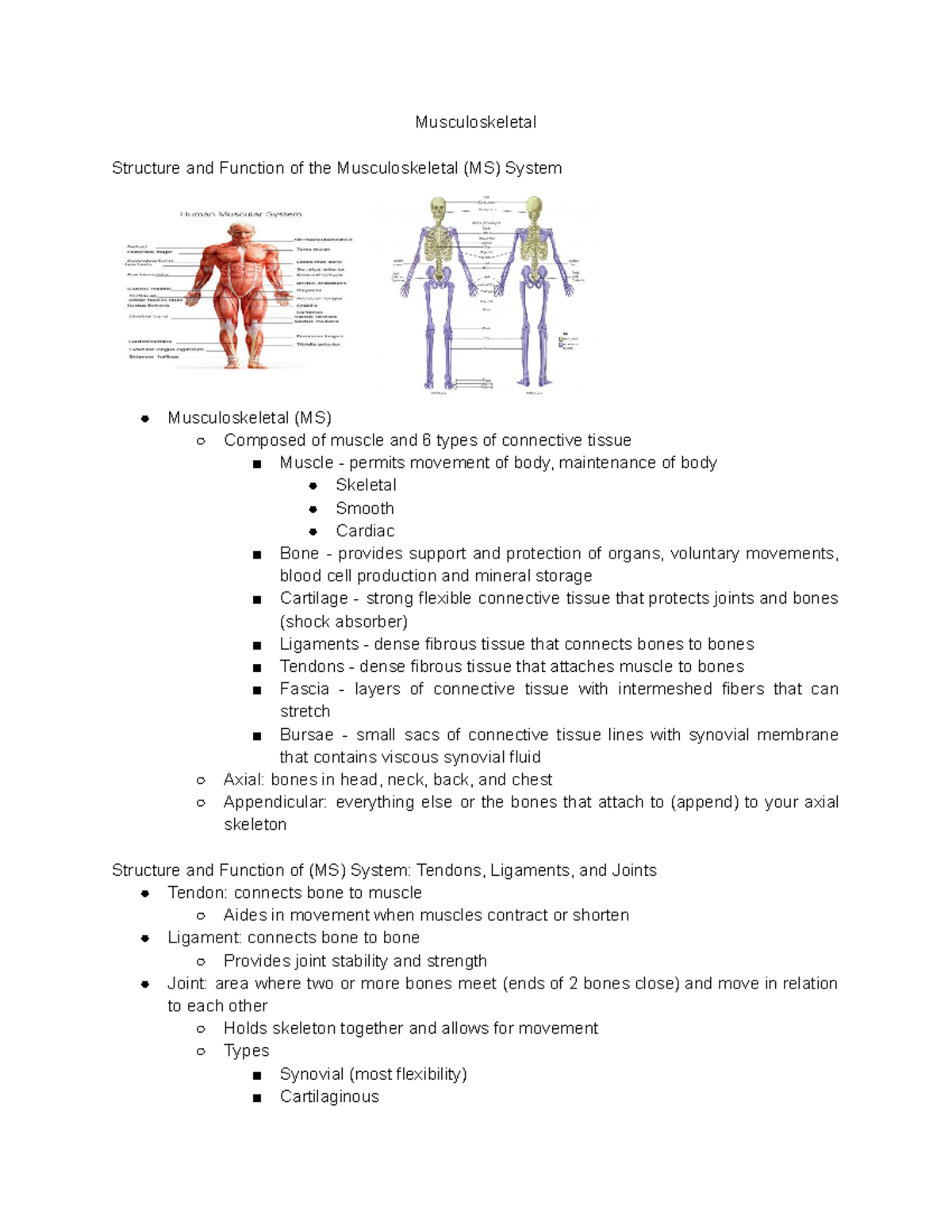 Musculoskeletal - Studocu
