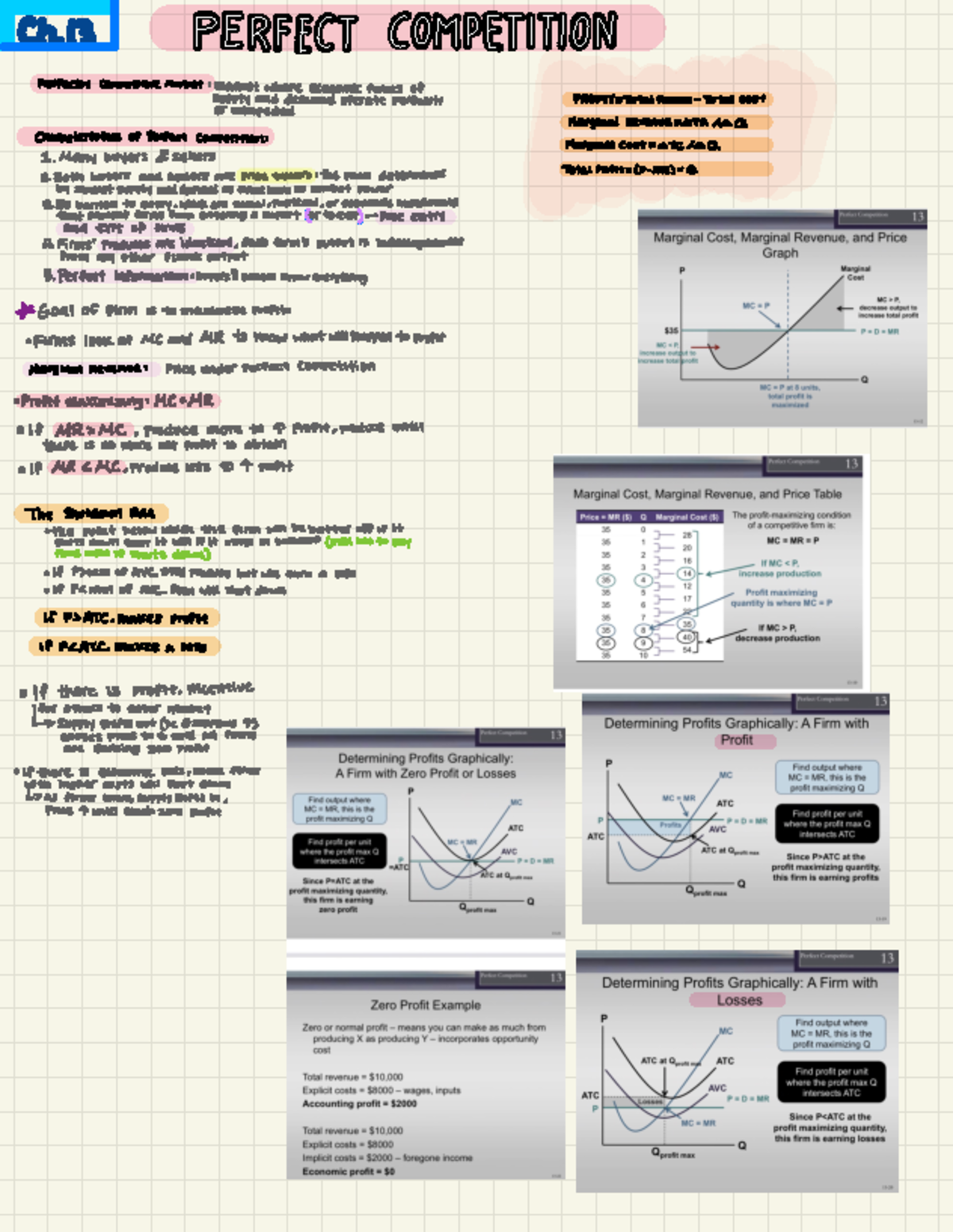 Econ121 ch13 - lecture notes - PEE EEEETT COMPETITION perfectly ...