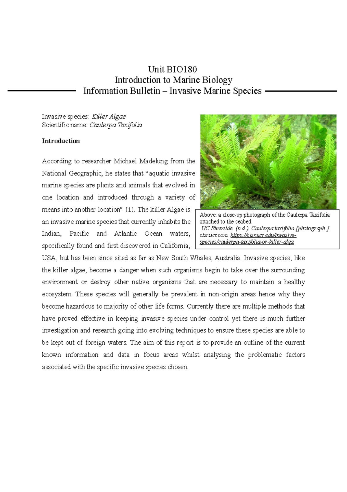 BIO180 Marine invasive species Bulletin project - Unit BIO Introduction ...