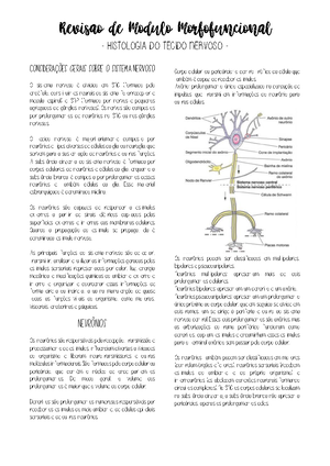 Histologia - TGI - Histologia O plexo de Meissner, também conhecido ...
