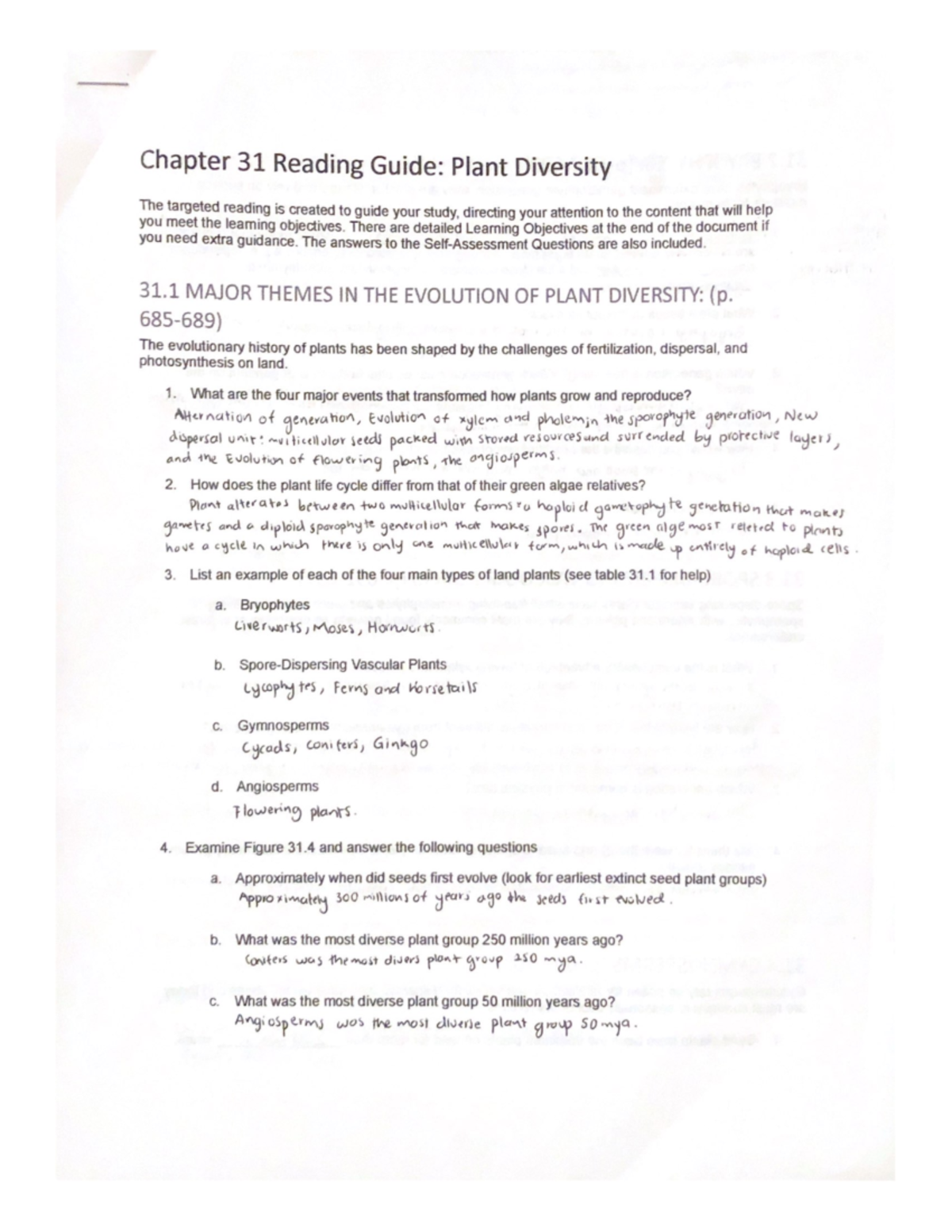 Chapter 31 Reading Guide Plant Diversity - Chapter 31 Reading Guide ...