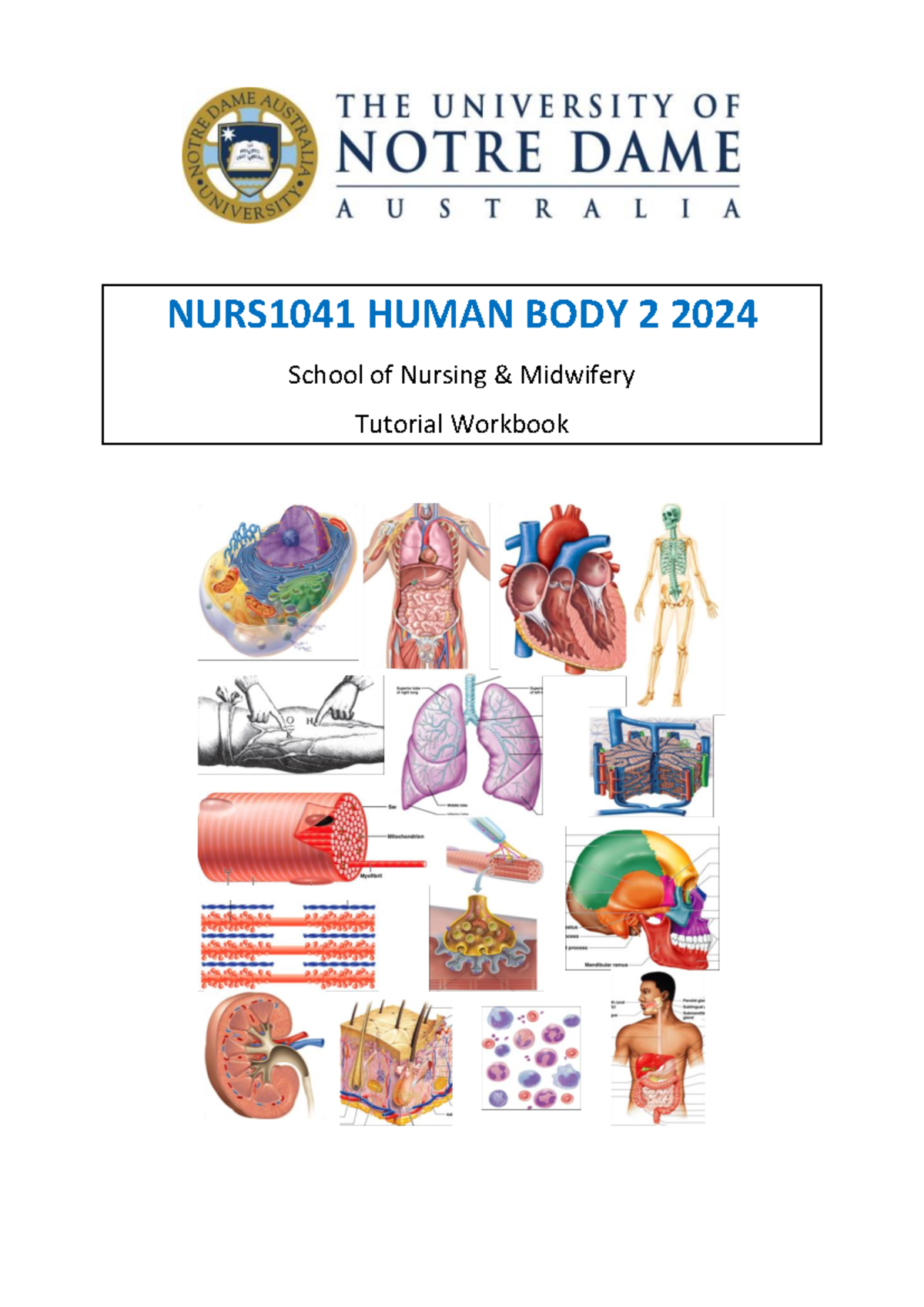 2024 Human Body 2 (NURS1041) Tutorial Workbook Final F - NURS10 41 ...