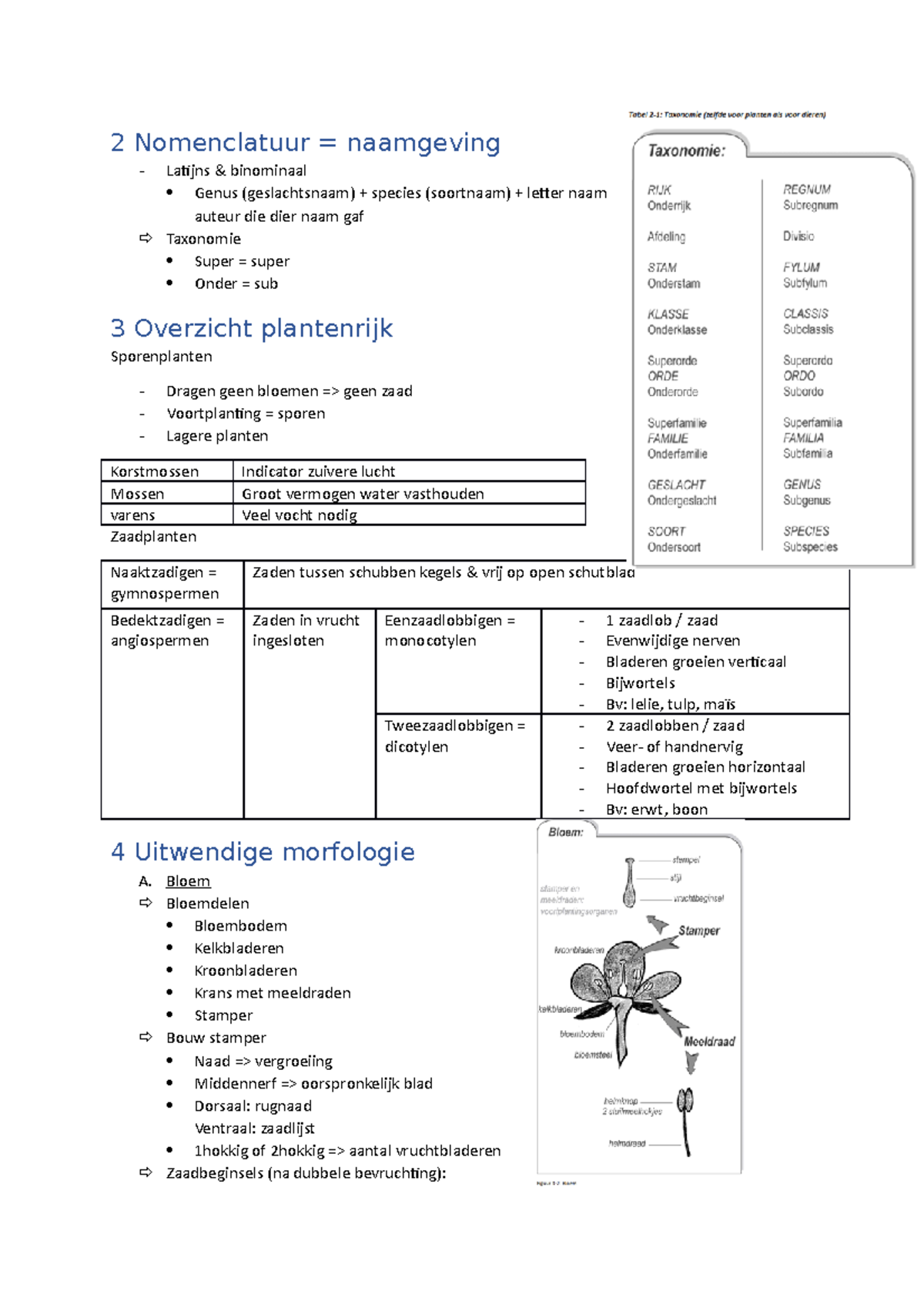 samenvatting plantkunde - 2 Nomenclatuur = naamgeving Latijns ...