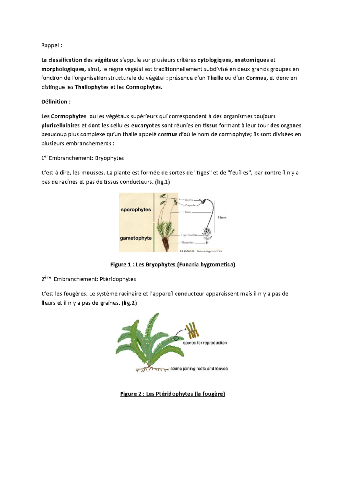 Les cormophytes cours svtu S2 ESEF - Rappel : La classification des ...