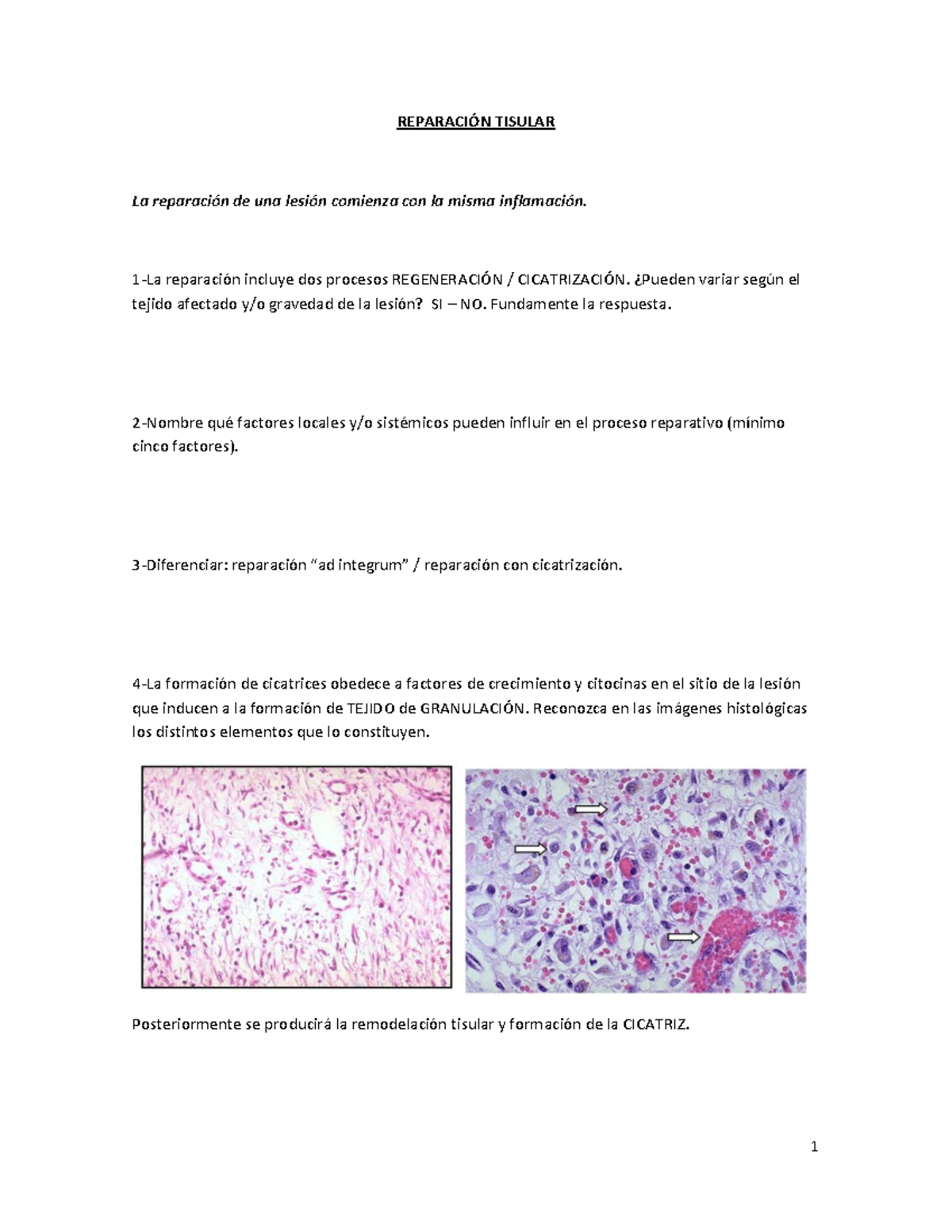 Reparación Tisular - REPARACI”N TISULAR La reparaciÛn de una lesiÛn ...