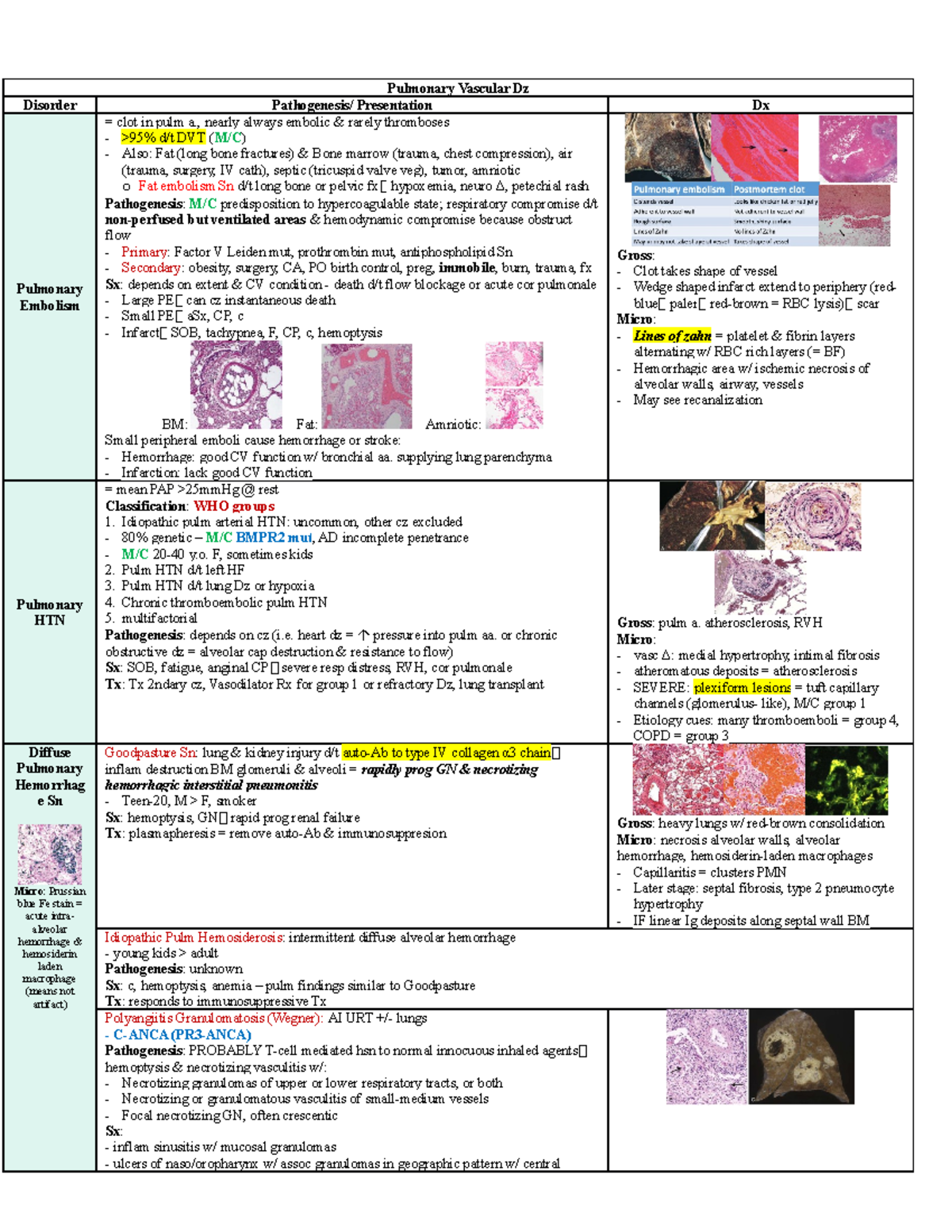 Path L6 Pulm Vasc - Path L6 Pulm Vasc - Pulmonary Vascular Dz Disorder ...
