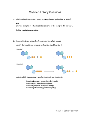 C190.v3 module 23 study questions - Module 23 Study Questions The cell ...